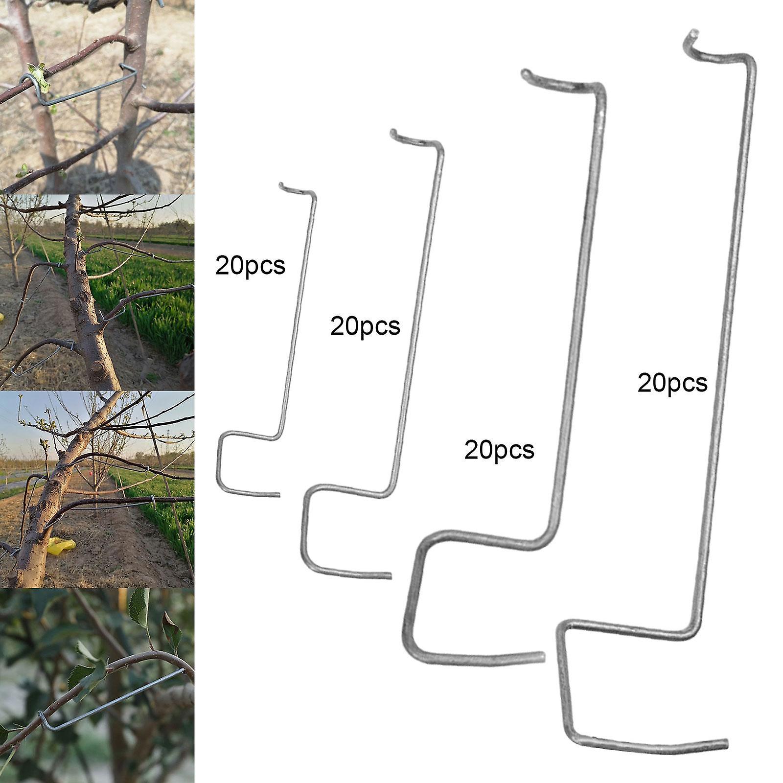 20Pcs Plants Stem Trainer Tree Branch Puller for Garden Orchard Farmer ...