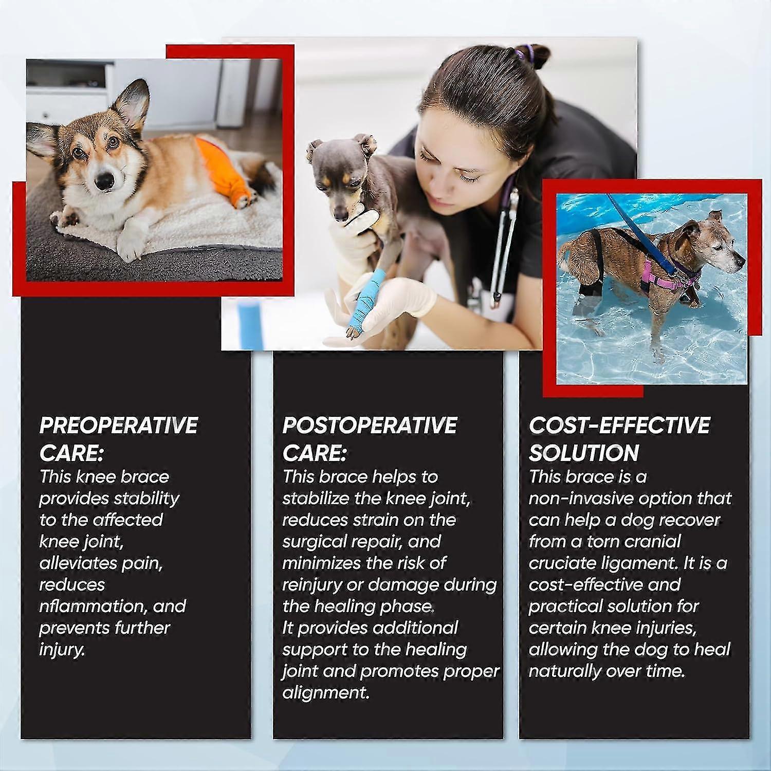 Premium Dog ACL Knee Brace, Dog Knee Brace for Torn ACL Hind Leg, Dog ACL Brace hind Leg, Dog ...