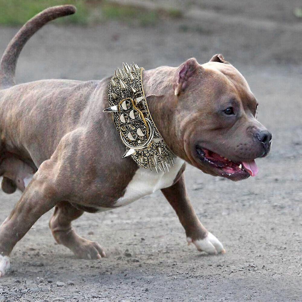 5cm Wide Cool Sharp Spiked Studded Leather Dog Collars for Pitbull ...