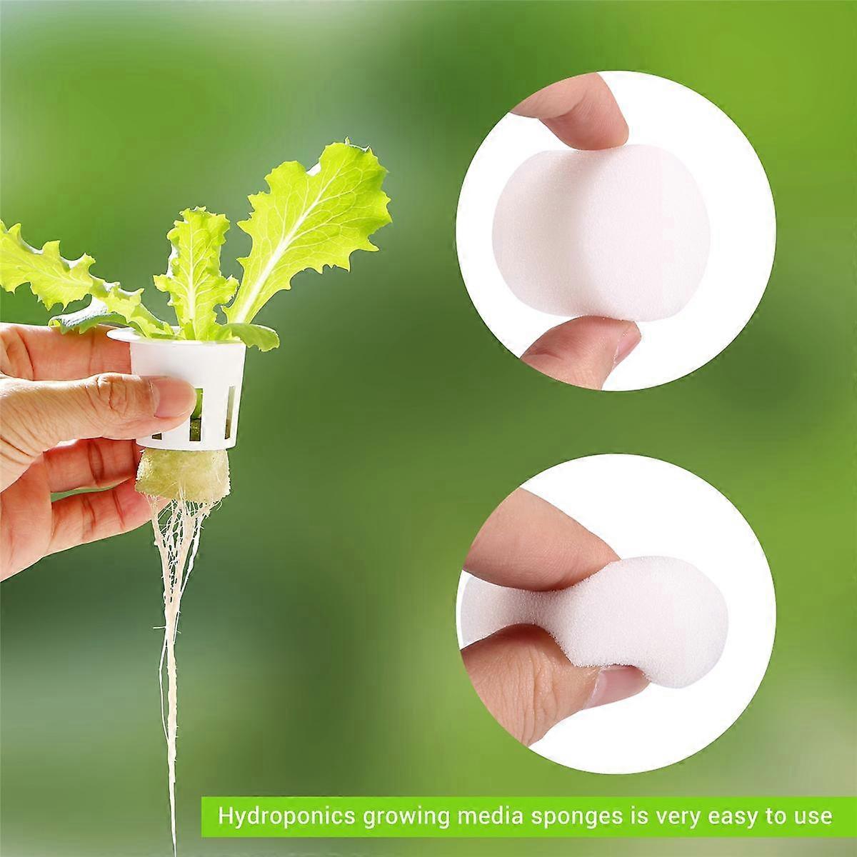 100Pcs/Set Hydroponic Gardening Plant Tools Planted Sponge Vegetable ...