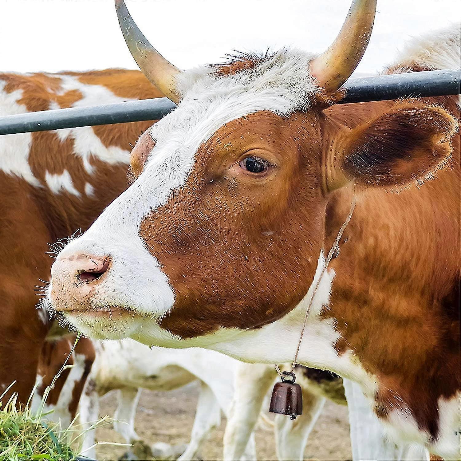 6 Piece Cow Bell, Sheep Cow Bells Pasture Bells, Copper Bells Cattle ...
