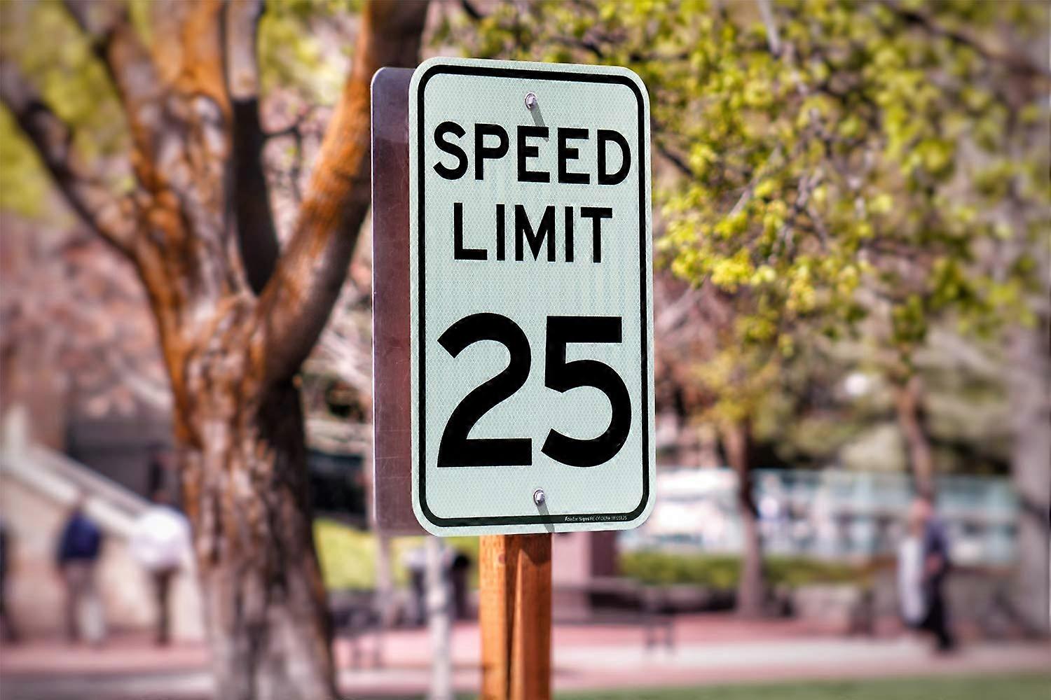 (2 Pack) Speed Limit 25 MPH Sign, Slow Down Sign, Traffic Sign,8 x 12 ...