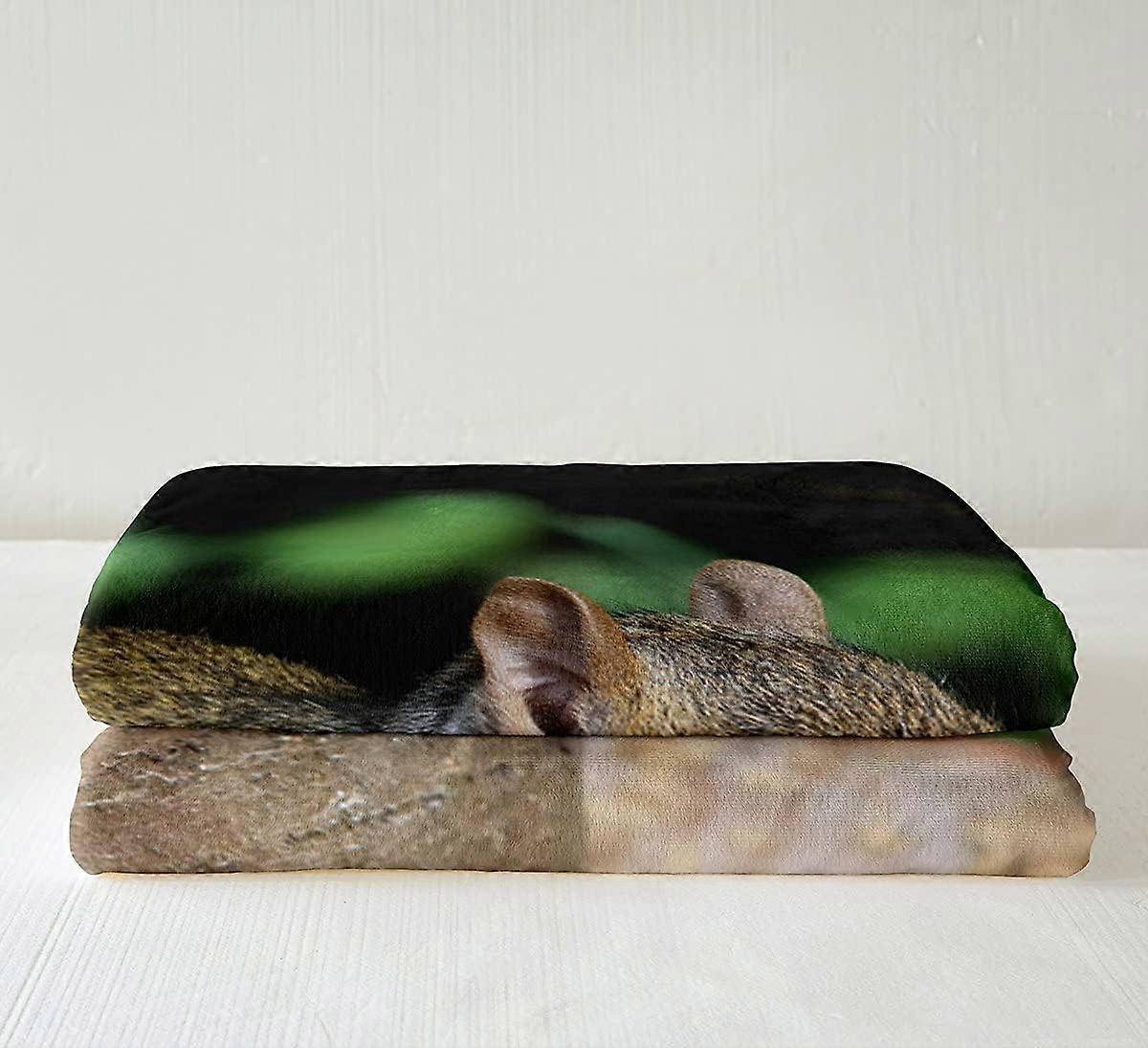 Sushi Pattern Blanket Japanese-Style Fleece Blanket for Bed Couch Sofa ...