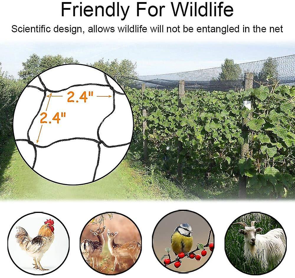 Fuglenet - 7,6 *15 m havenet Beskyt frugttræ Heavy Duty Fuglenet ...