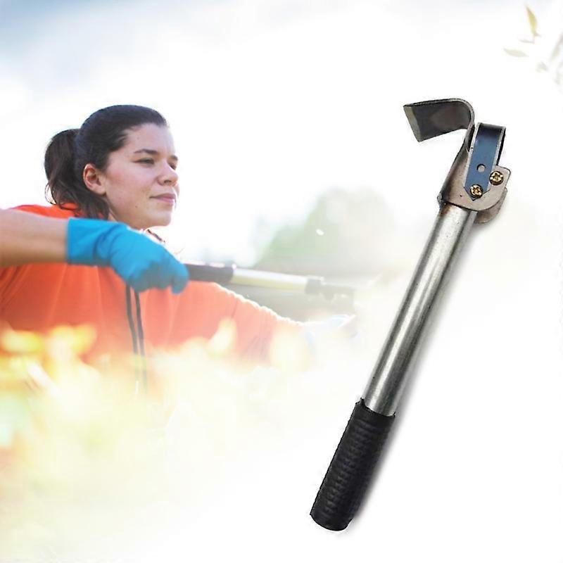 Tree Bark Scraper Debarking Peeler Fruit Log Hand Shave Garden ...