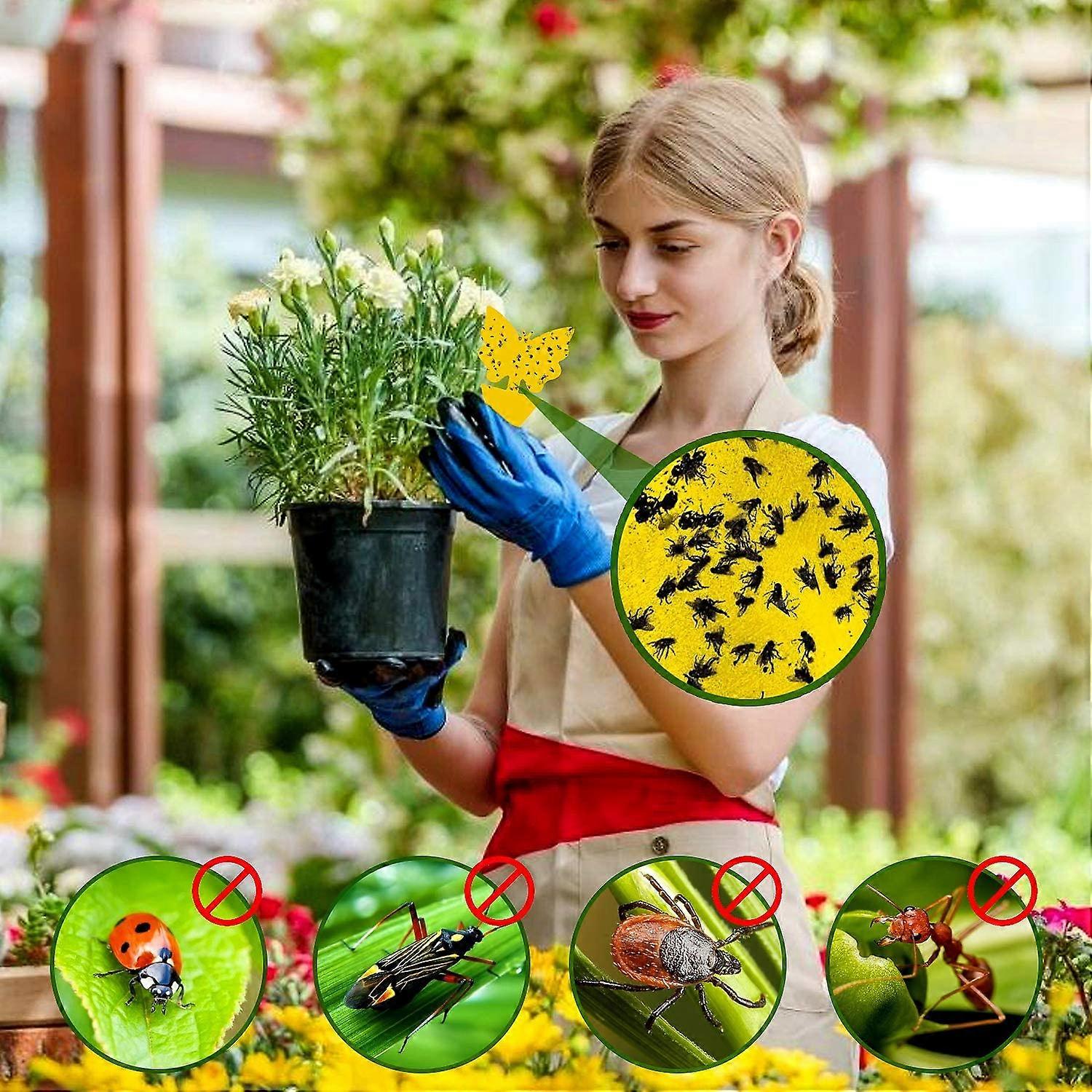 Plant Yellow Sticker, 48 Pieces Insect Traps, Sticker Traps, Yellow Fly ...
