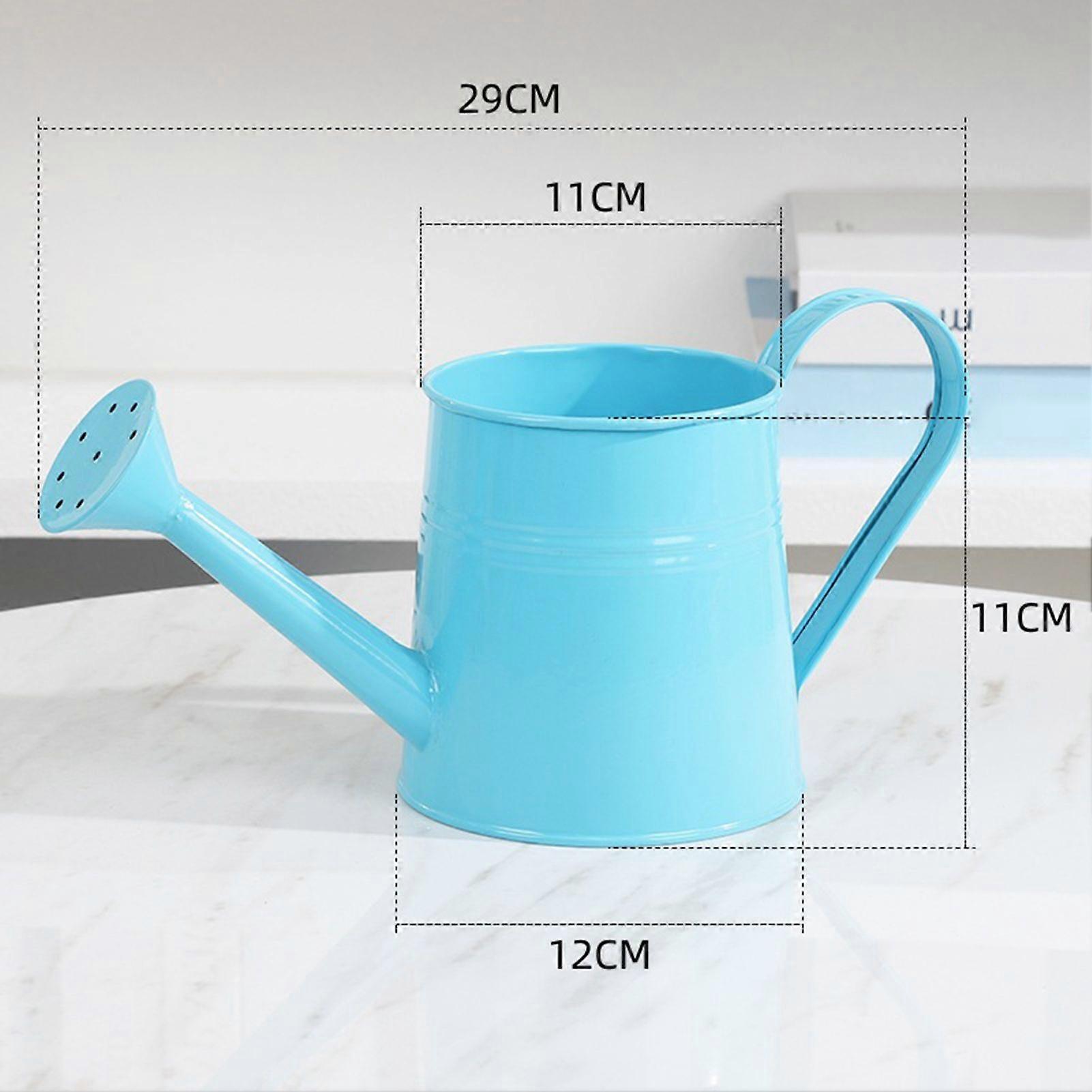 Jikaixiang Metal Watering Can for Indoor Plants Wide Opening Watering ...