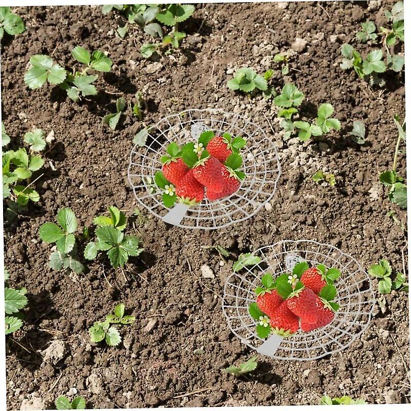 10pcs Strawberry Strawberry Holders Support Strawberry Holders, Plant ...