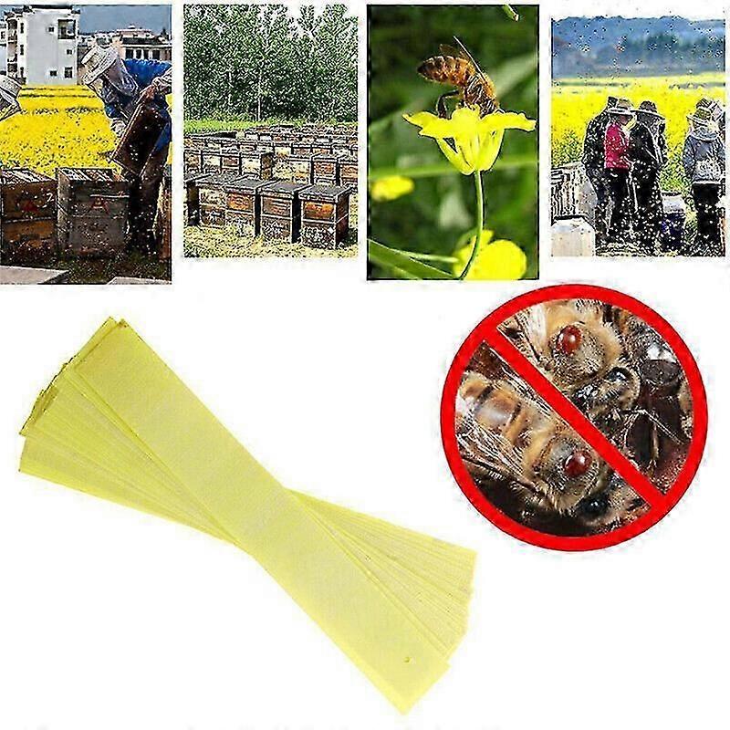 80 Strips Wangshi Manhao-pro Fluvalinate Strip Varroa Mite Killer ...