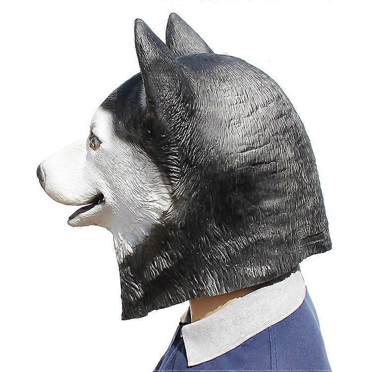 Hund Aus Die Maske