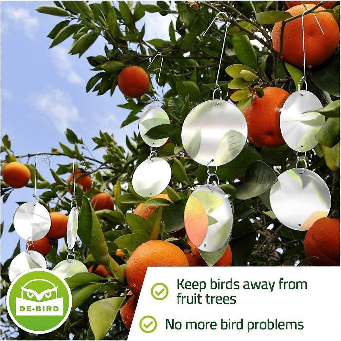 Repellent Reflective Discs to Keep Birds Away Effective Deterrent to ...