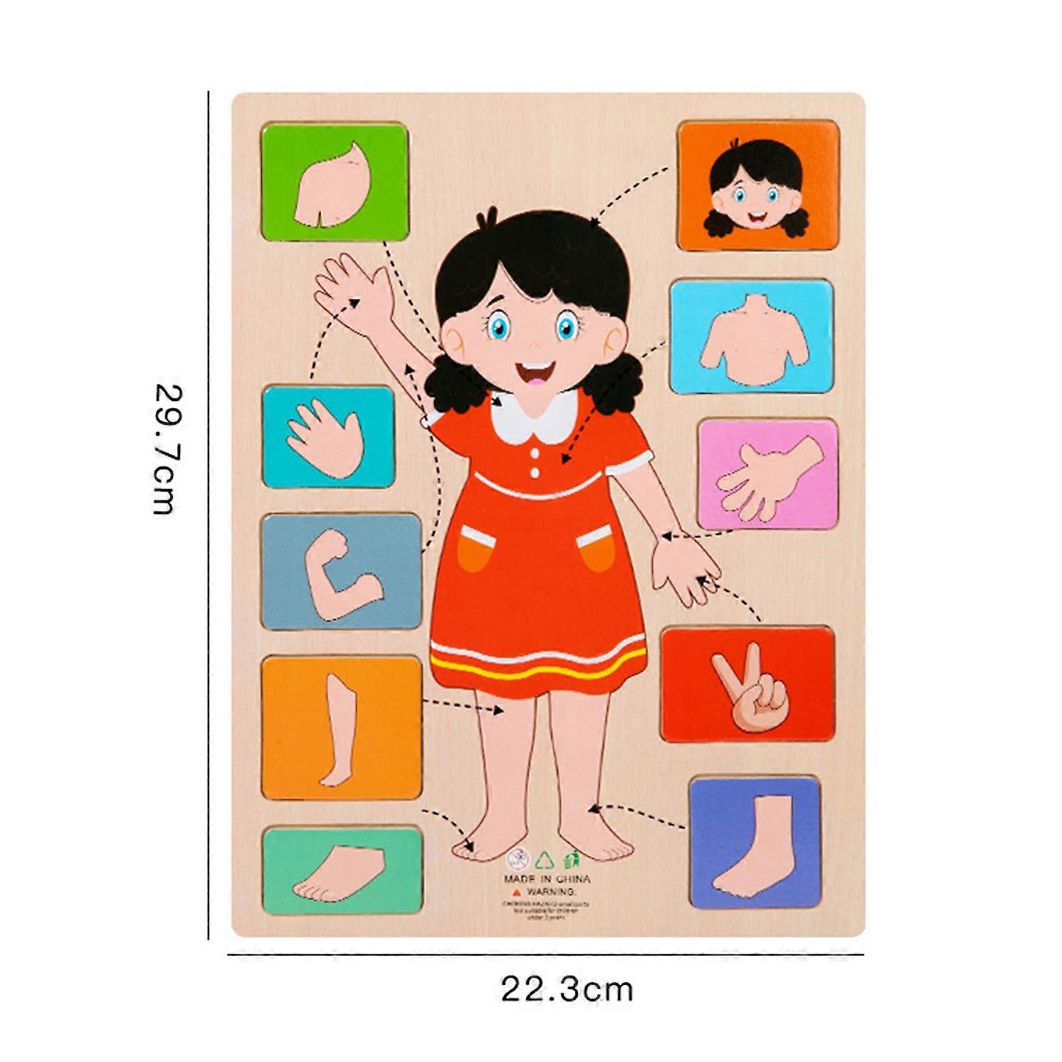 Body Parts Puzzle Matching Game Educational Human Body Structure ...