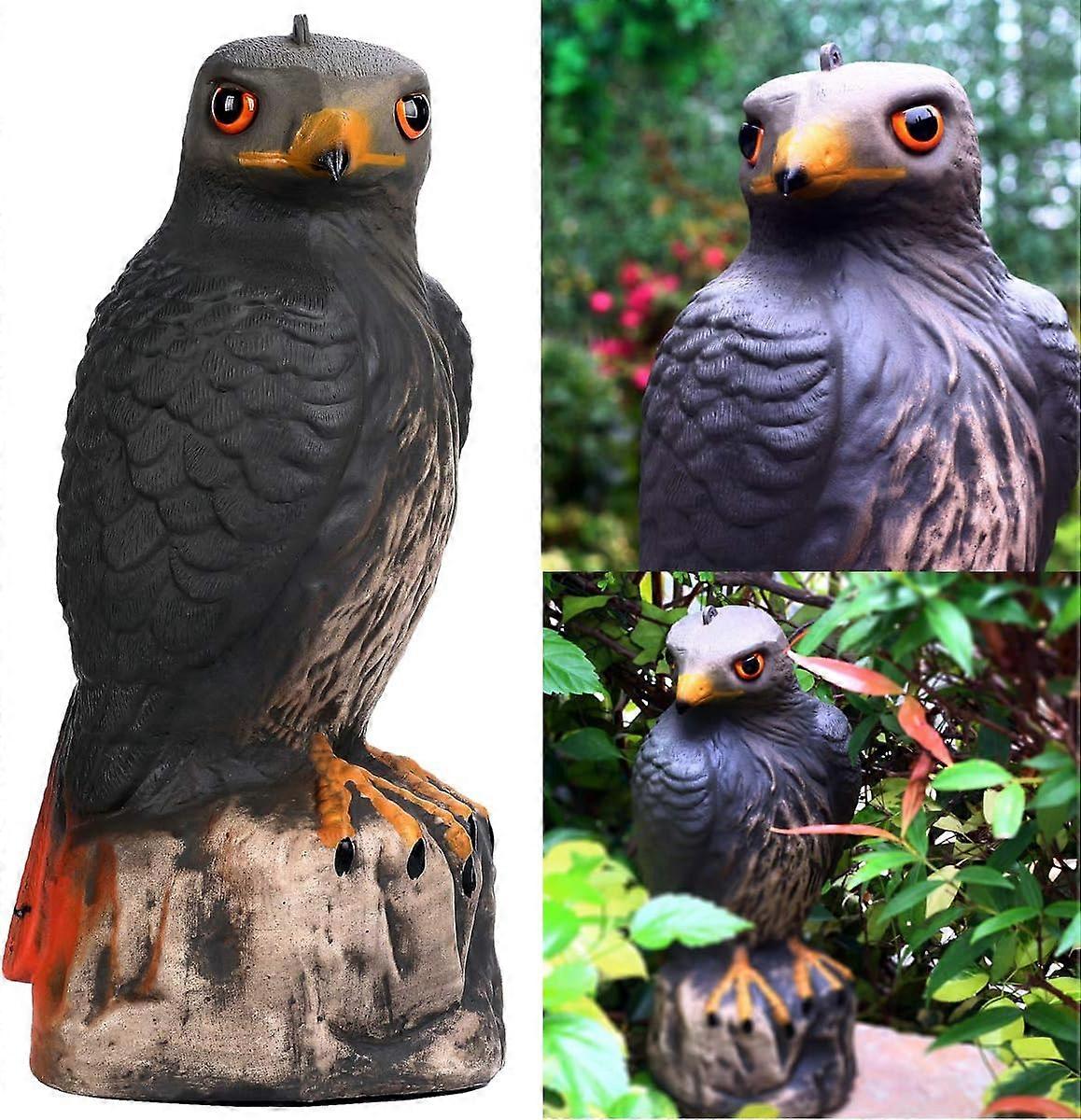 Large Realistic Hawk Eagle Scarecrow Garden Bird Repeller Anti Pigeon ...