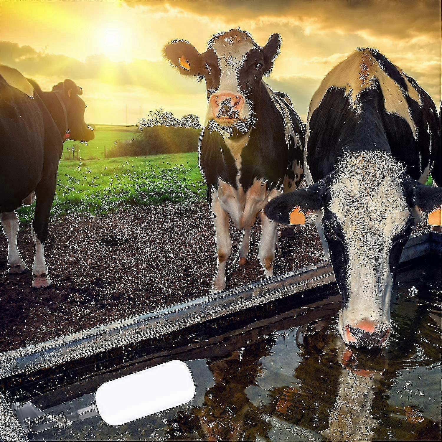 2 Pcs Floating Valve, Automatically Fill Waterers Floating Ball Valves ...