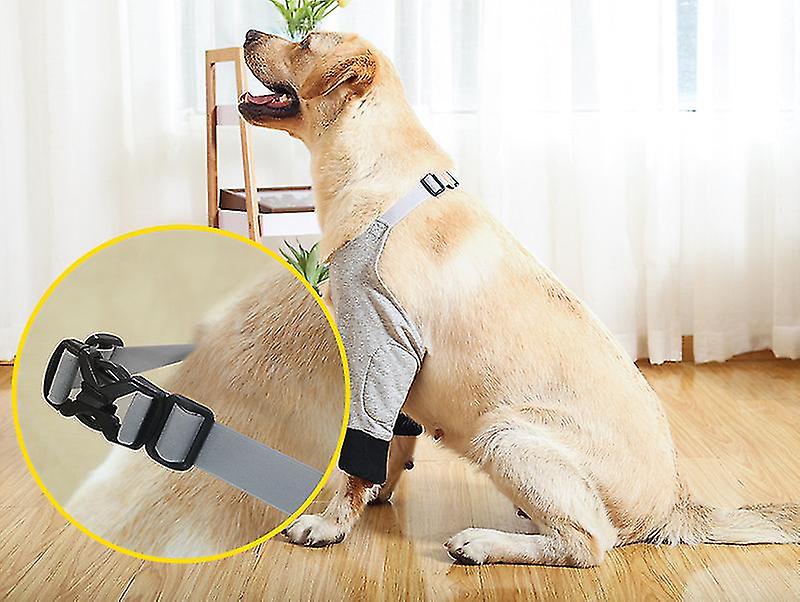 Hund främre benstöd Hund armbågsskydd Stödremmar för läker skyddar mot ...