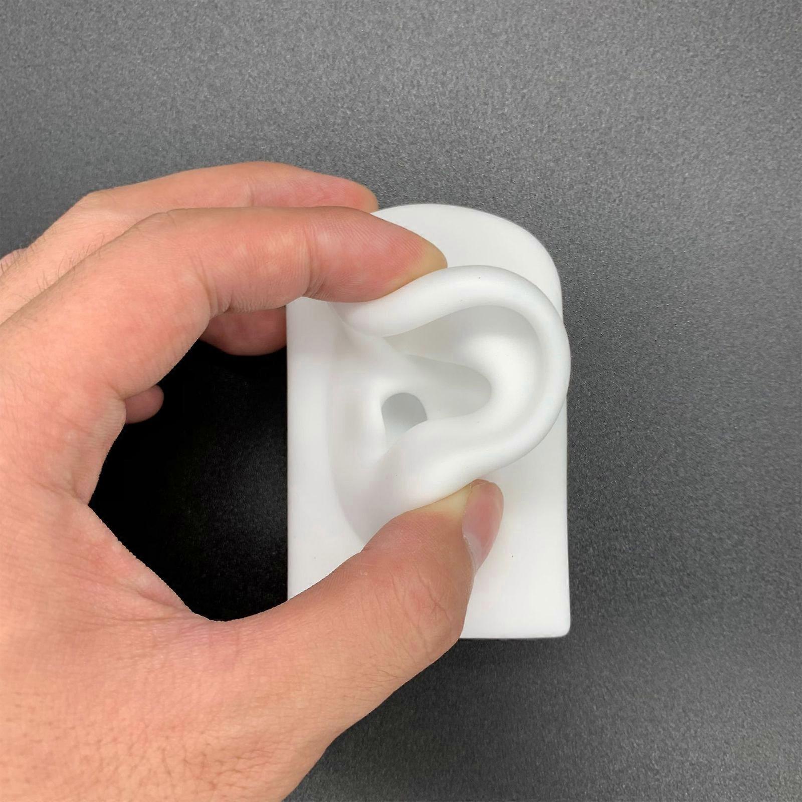 Silicone Simulation Human Ear Model Puncture and Perforation Practice ...