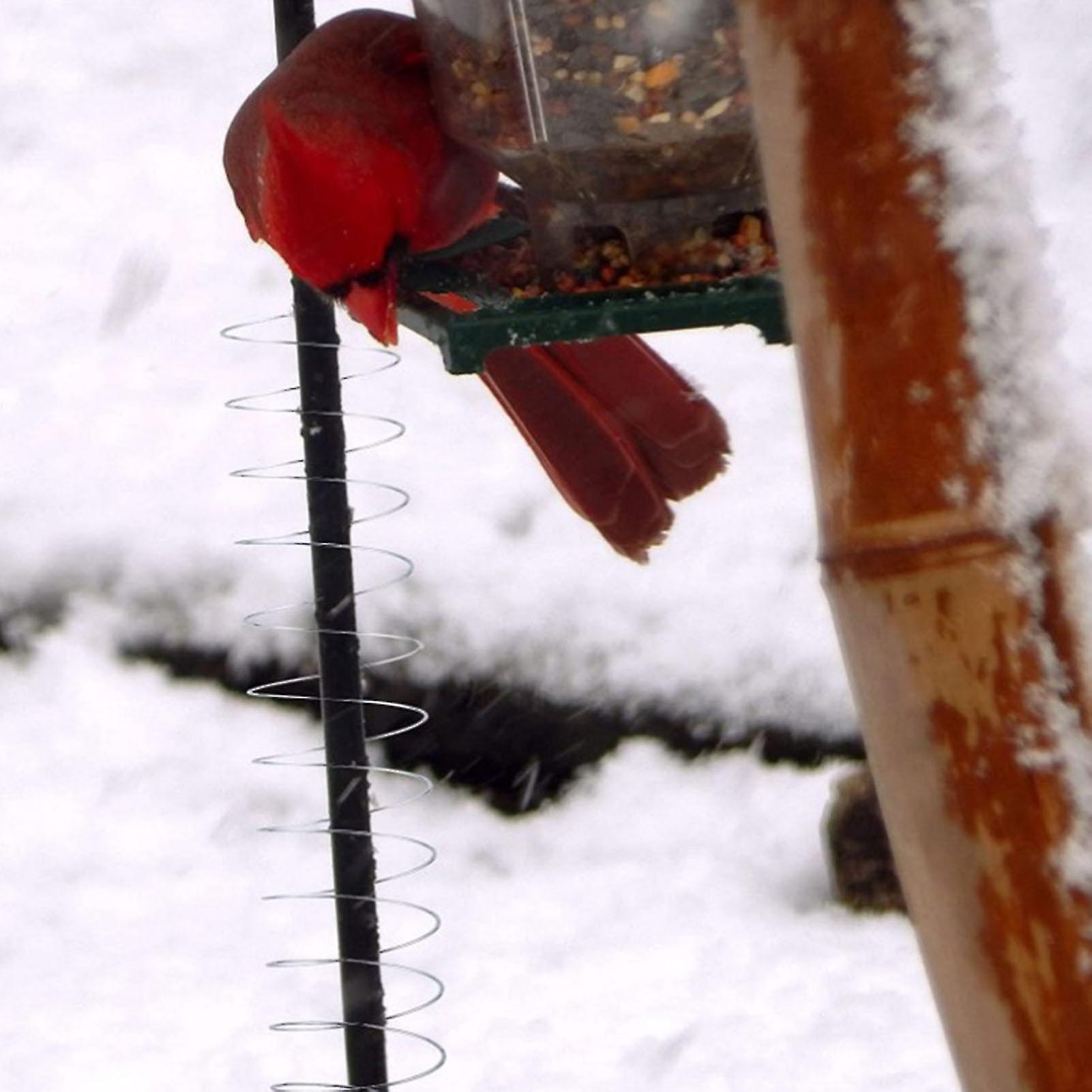 Squirrel Proof Spring Metal Spring Device Bird Feeder Accessories For ...