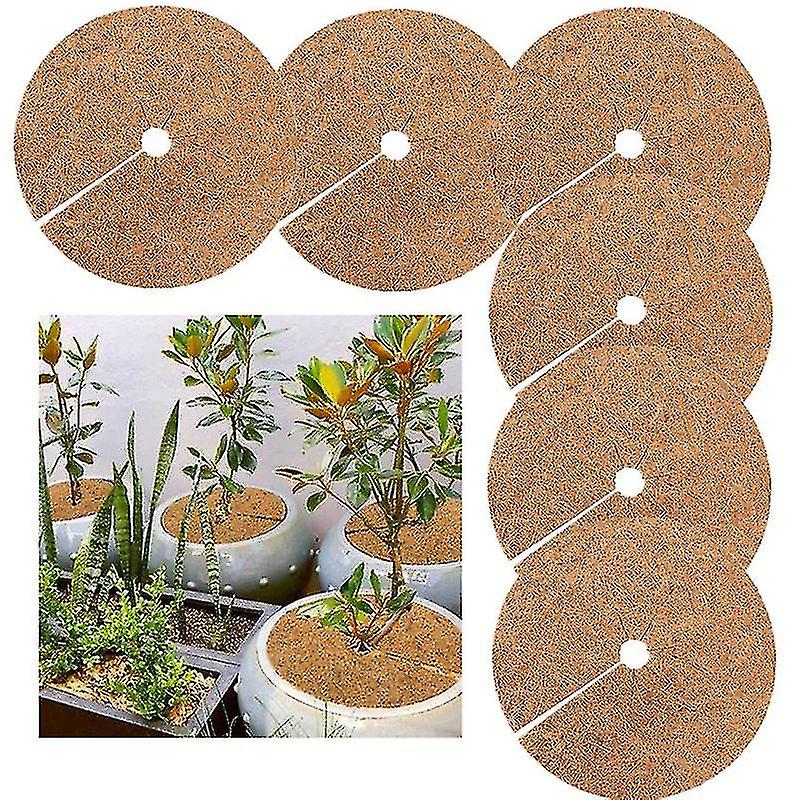 6 Pcs Coconut Fibers Mulch Ring Tree Protector Mat,100% Natural Coco ...