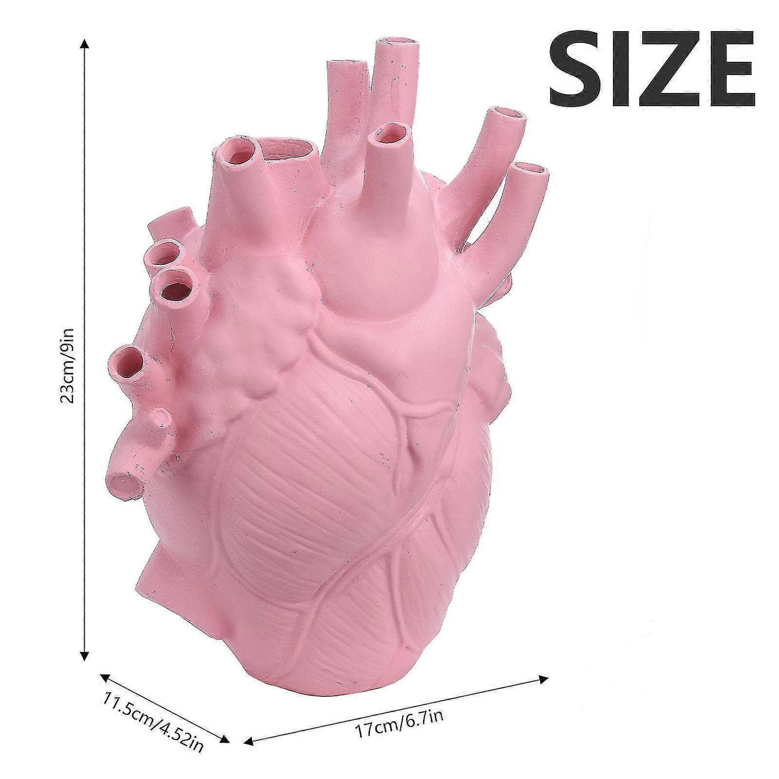 Anatomical Heart Vase Human Heart Shaped Vase Desktop Ornament Home ...