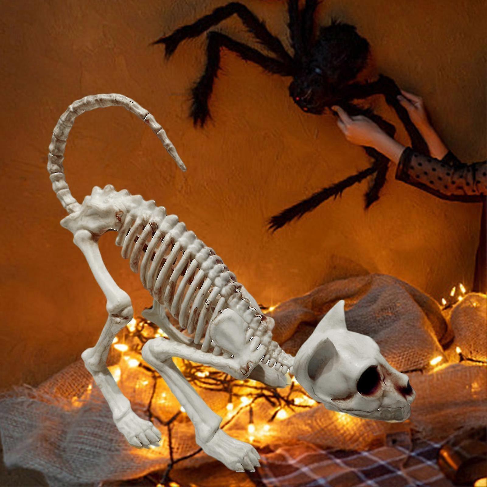 Great Skeleton Cat Statue Attractive Halloween Skeleton | Fruugo UK