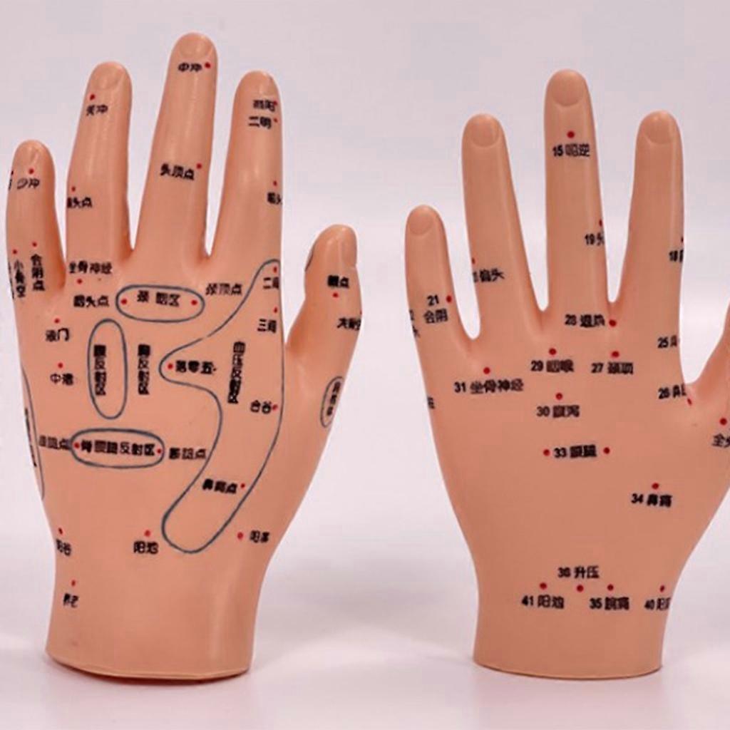 Ear & Hand & Foot Acupuncture Points Model Chinese Medicine Acupoint ...