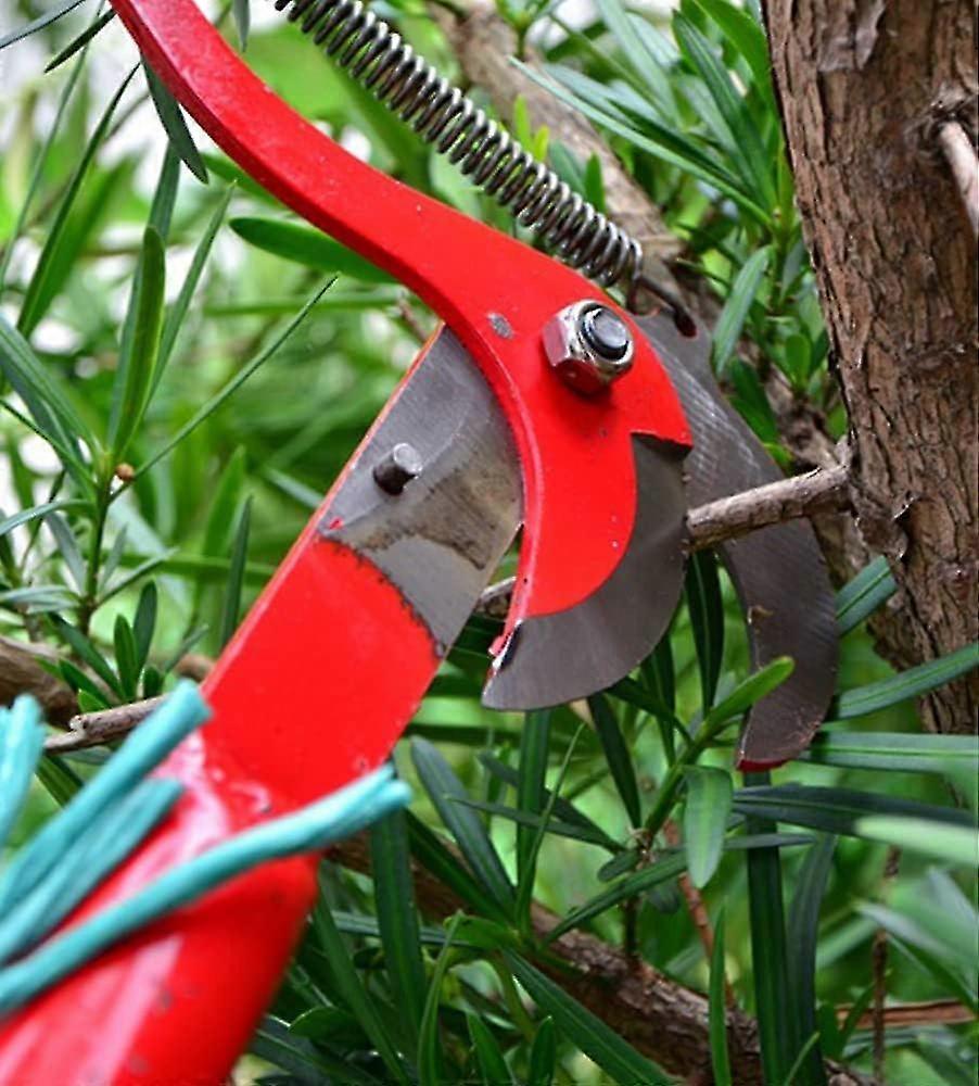 Telescopic Fruit Picker Telescopic Gardening Loppers Telescopic Branch ...