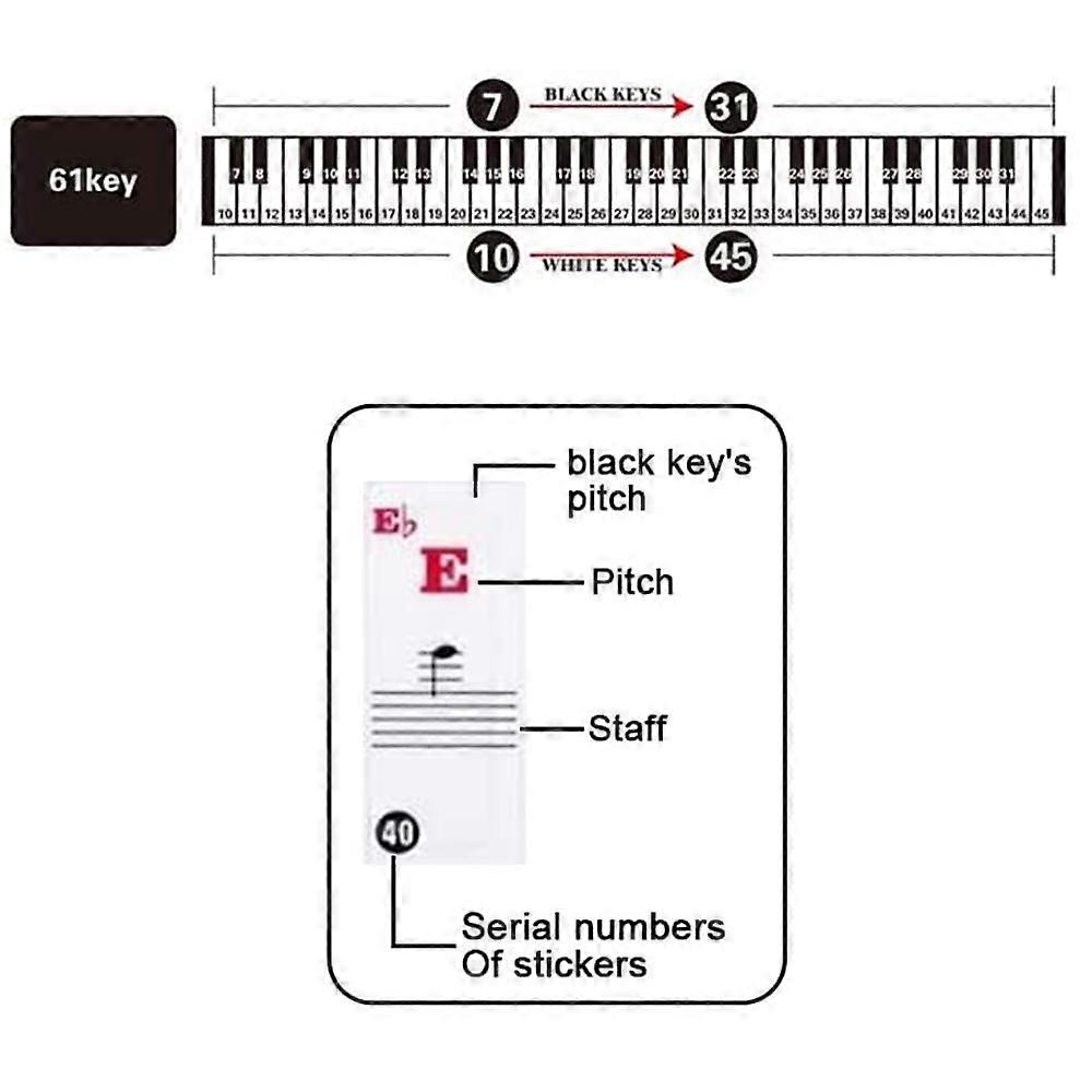 Color Piano Stickers for 88/76/61/54/49/37 Key Keyboards - Great Visual ...