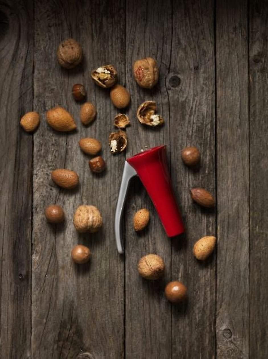 Stainless Steel Nutcracker - Designed And Produced In - Strong And ...