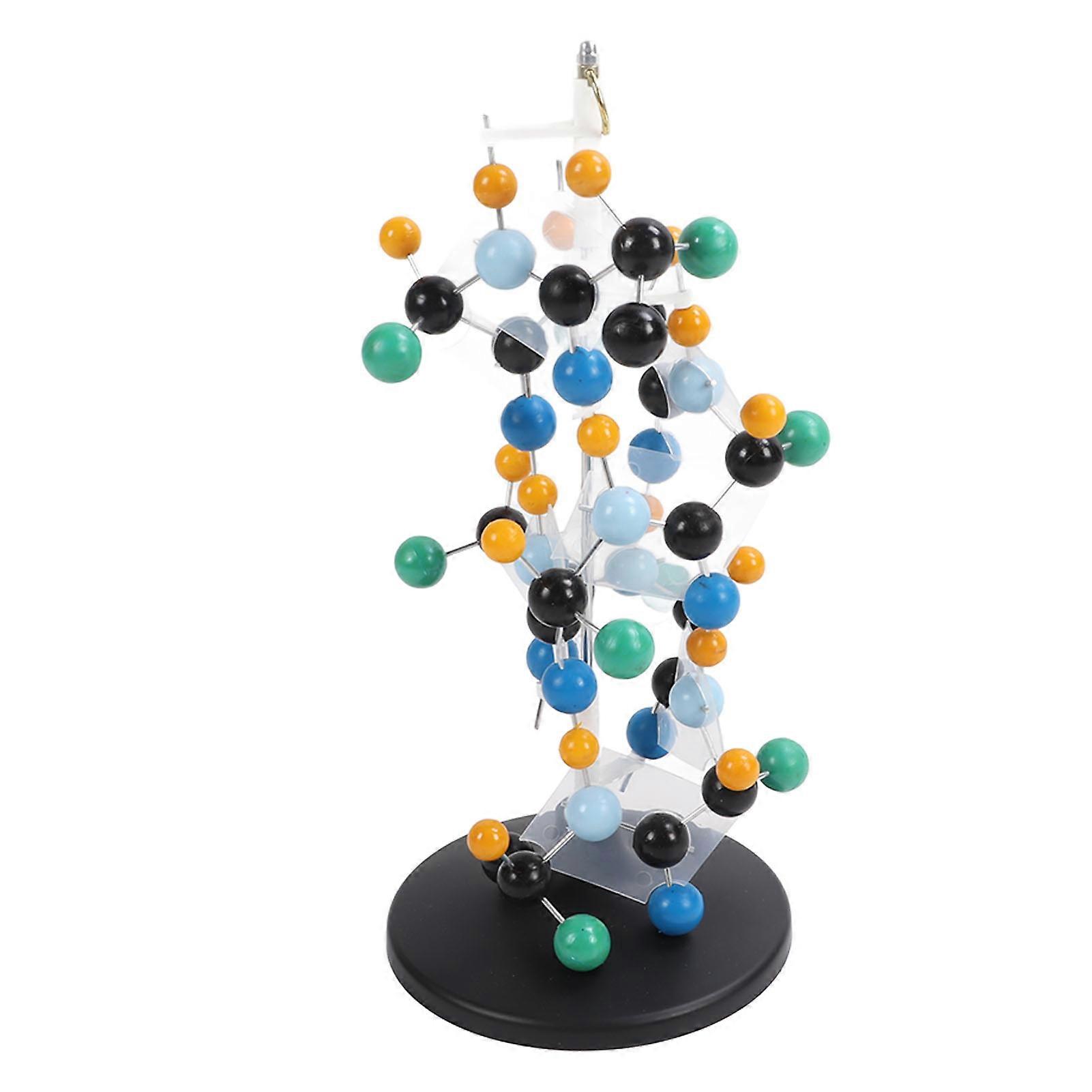 Protein Molecular Model Plastic QH3212‑2 Molecular Structure Model for ...