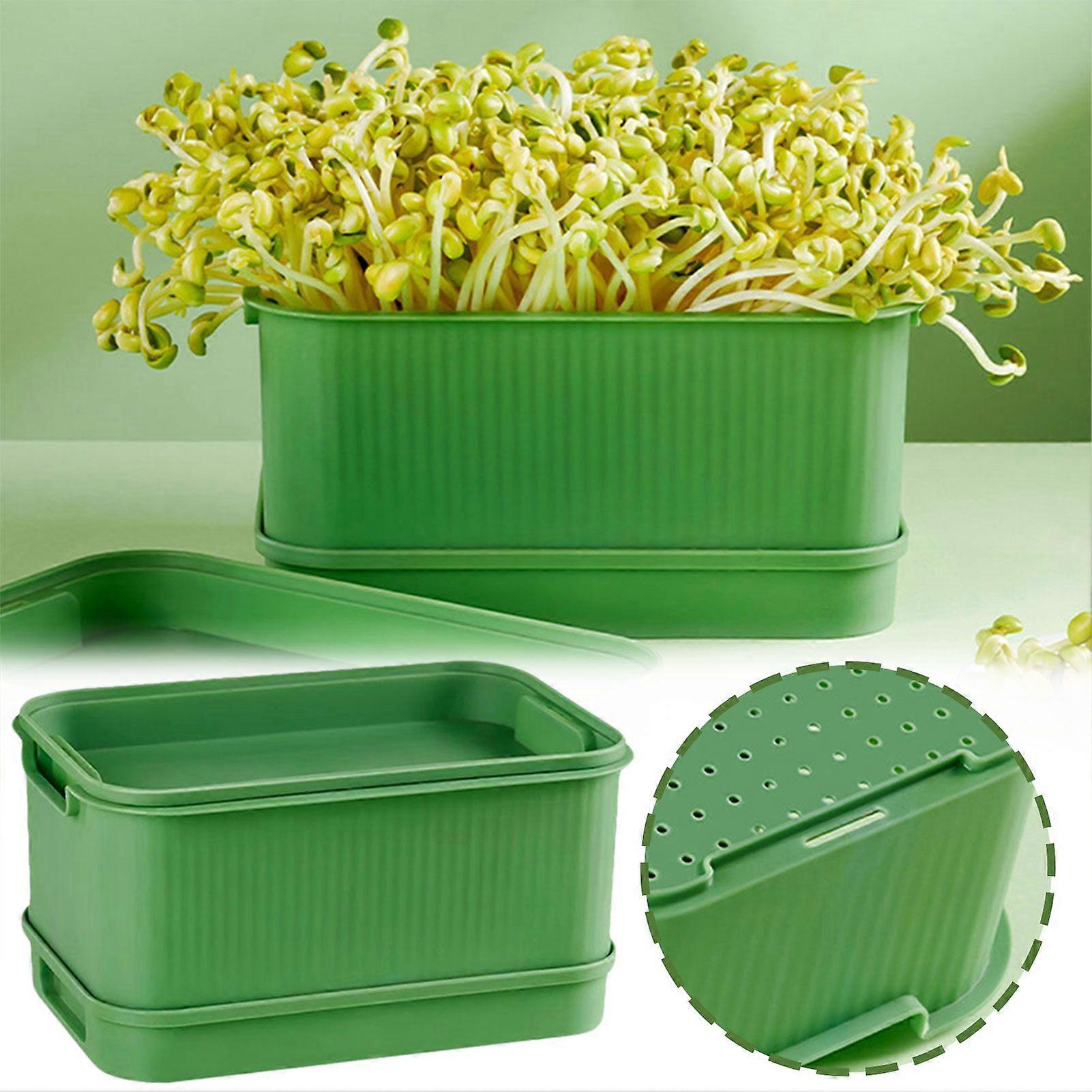 Stackable Bean Sprout Growing Box with Drain Holes Double Layer Seed ...