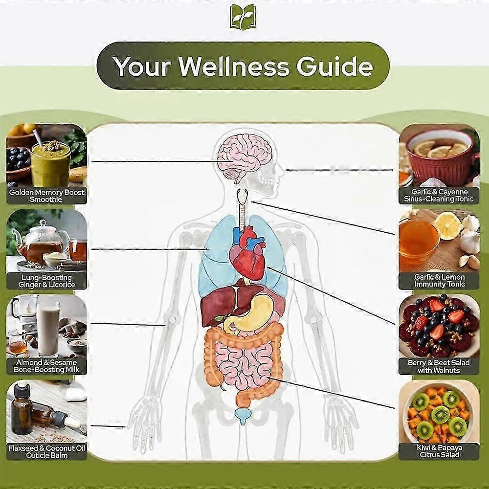 The Natural Healing Handbook - Holistic Health Guide With Herbal ...