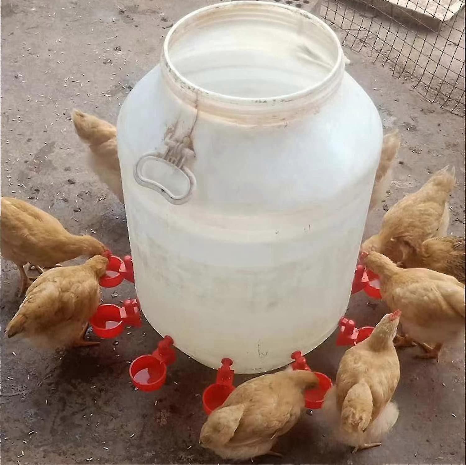 6 Pack Automatic Chicken Waterer, Chicken Water Cups Feeder Kit, 3/8 ...