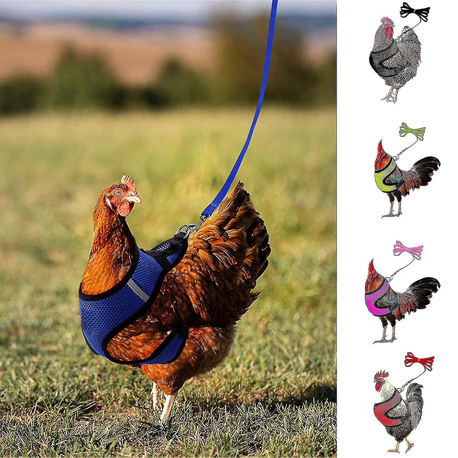 1 Set Chicken Harness With Leash Breathable Adjustable Chicken Duck ...