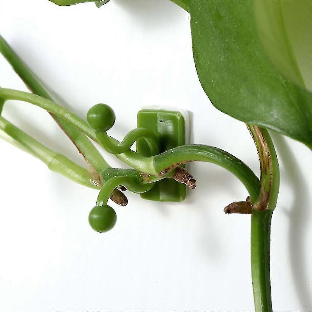 Invisible Plant Climbing Fixture Clip Rattan Wall Fixed Hook | Fruugo UK