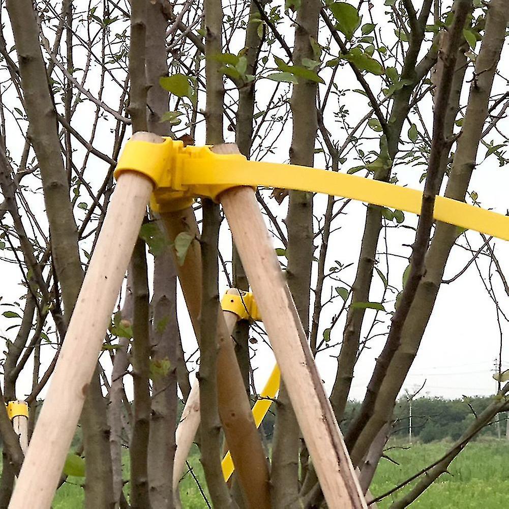 Plant Frame Large Tree Growing Support Stakes Tripod Plastic Cups ...