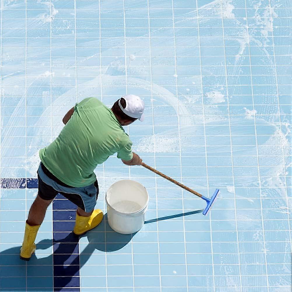 Swimming Pool Brush Head Premium 10 Inch Pool Cleaning Brush Broom ...