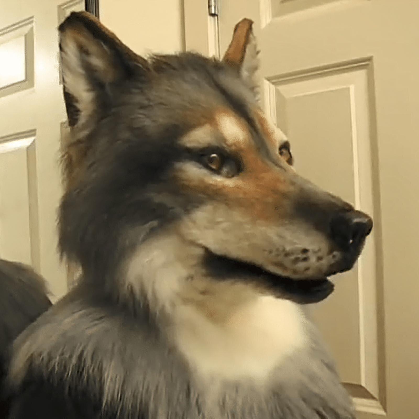 Latex Rubber Wolf Head Hair Mask Unisex Novelty Animal Full Mask ...