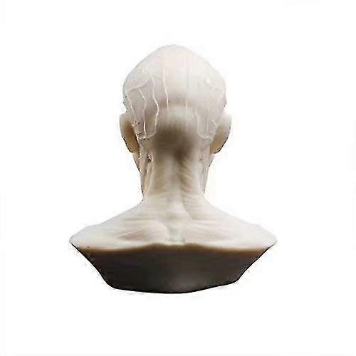 Mannequin Craft Anatomy Skull Head Musculoskeletal Medical Artist ...