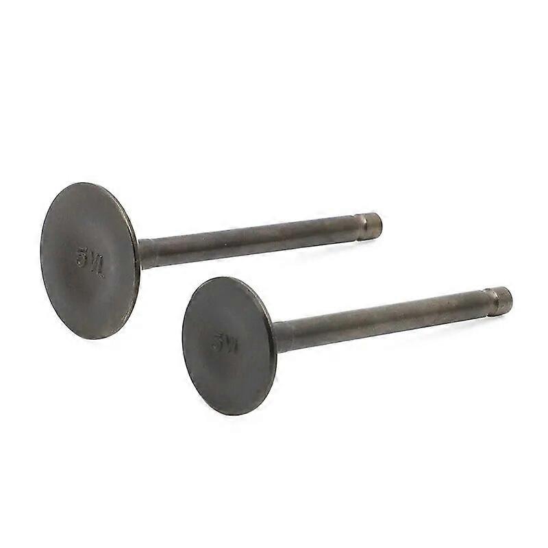 ATV Parts Intake & Exhaust Valves Set For Yamaha YFA1 Breeze 1989-2004 ...