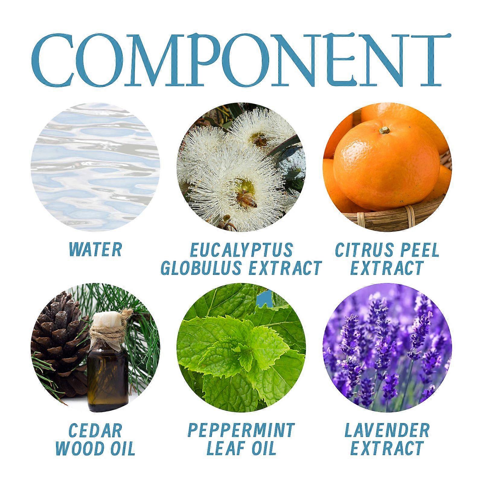 Whole Body Deodorant, Long Lasting Fragrance Clean Body Odor Body Odor ...