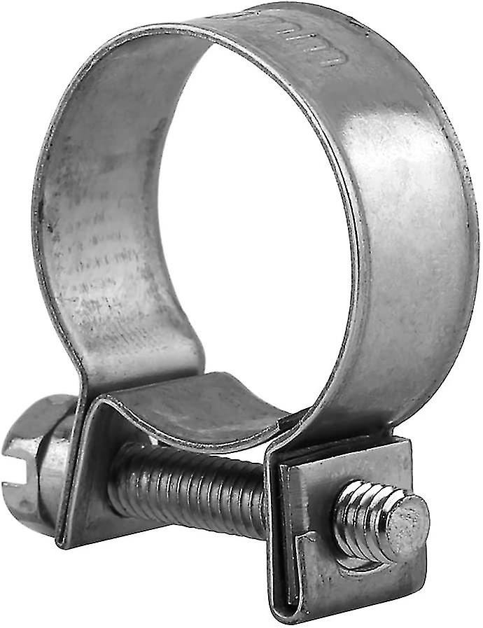 10 Pcs Hose Spring Clip 6mm-20mm Optional Hose Clamps Hose Clip 304 ...