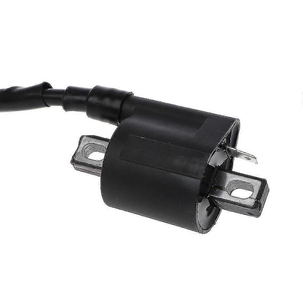 Ignition Coil For 50cc 150cc 200cc 250cc Atv Scooter Motorcycle Quad ...