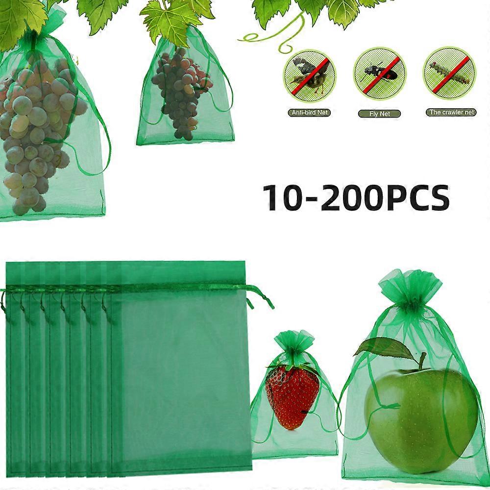 10-200PCS Fruit Plant Growing Kits Protection Bag Grape Insect Proof ...