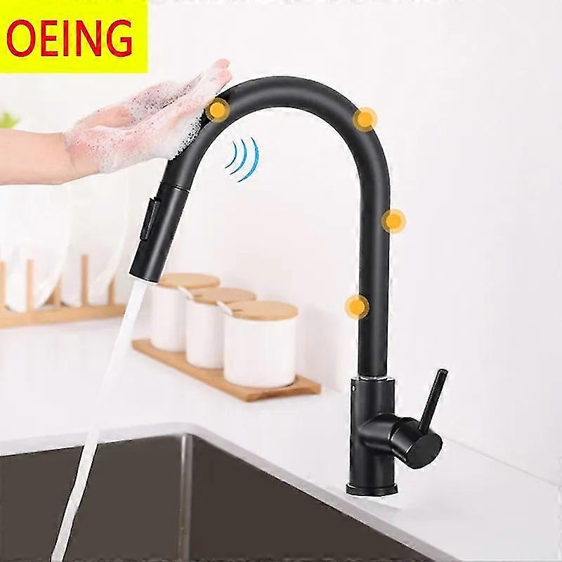 Exquisite Kitchen Faucets Black Stainless Steel Pull Out Hot Cold Water ...