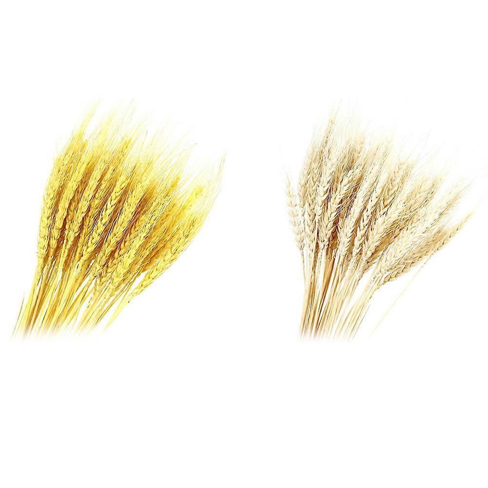 100 Stems Dried Wheat Stalks for Decor Artificial Dried Wheat Sheaves ...