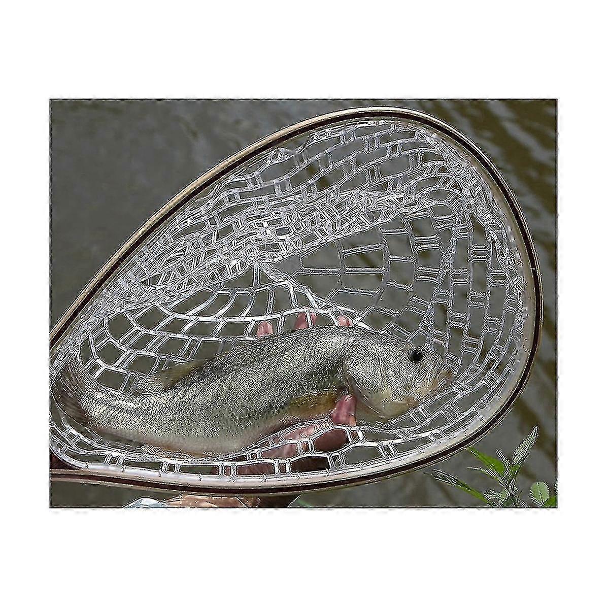 Fly Fishing Landing Net Trout Fishing Net, Soft Rubber Catch And ...