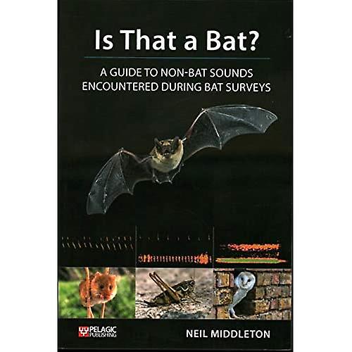 Is That a Bat?: A Guide to Non-Bat Sounds Encountered During Bat ...