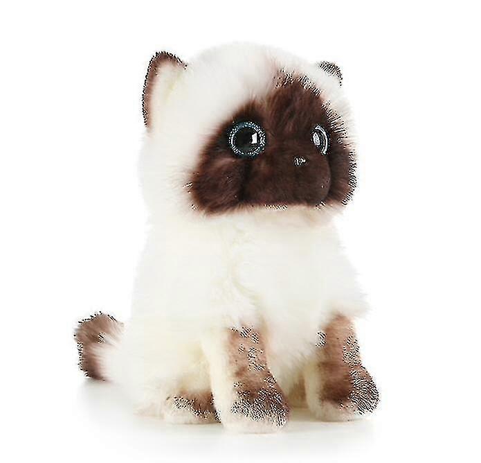 Cute Ragdoll Cat Plush Stuffed Animal Toys | Fruugo UK