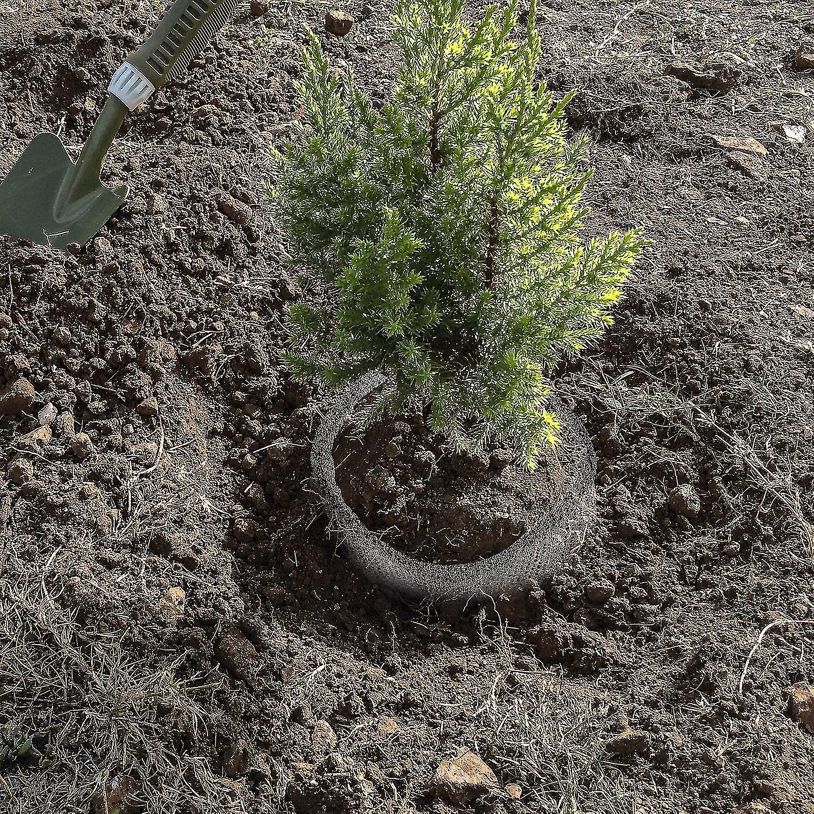 4 Pack Root Stainless Steel Guard Baskets For Plants- Heavy Duty Gopher ...