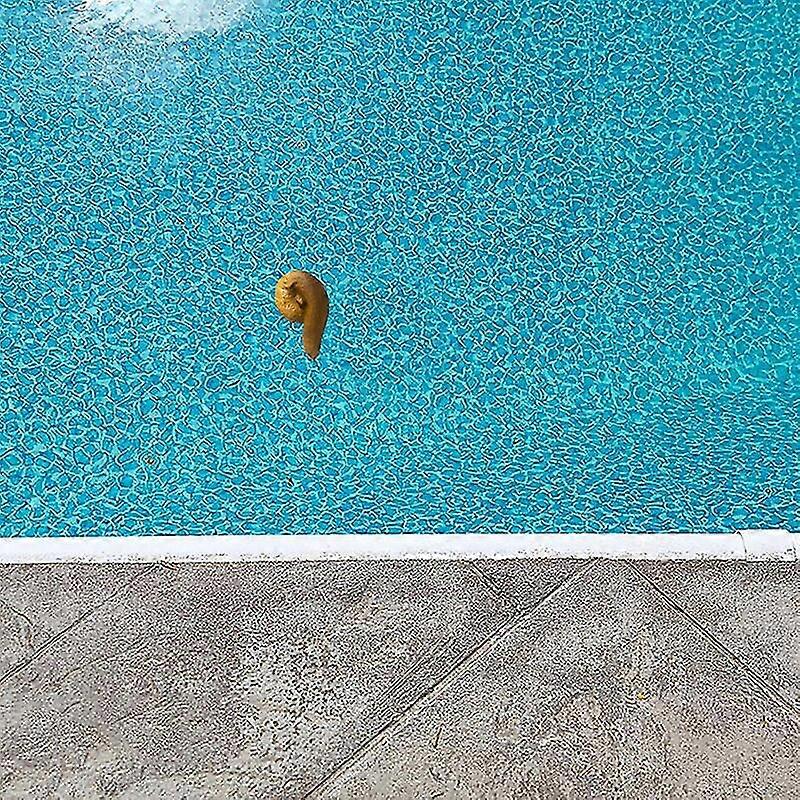 Funny Pool Thermometer Floating Poop Prank Pool And Hot Tub Thermometer ...